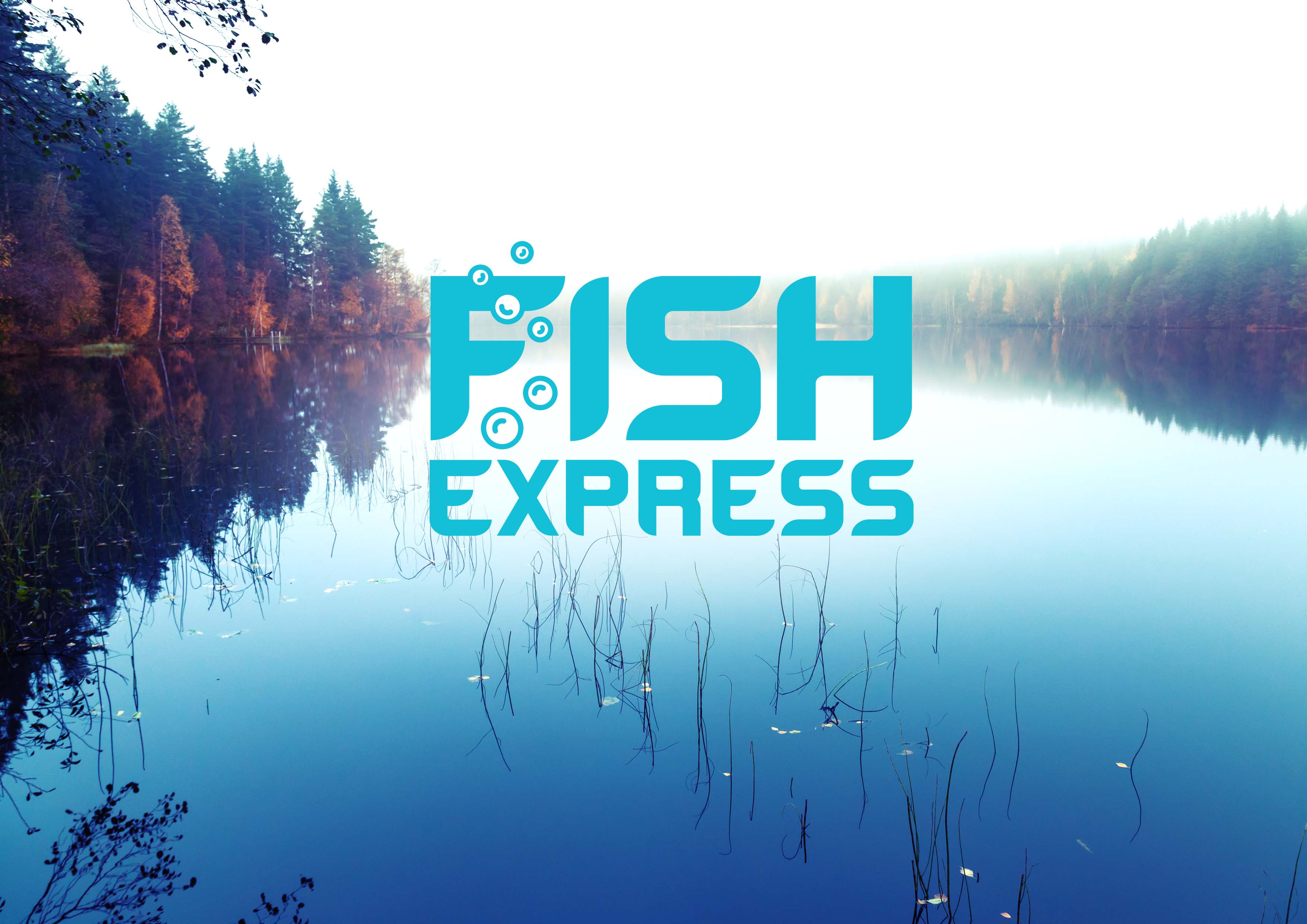 Бренд дня: «Fish Express»