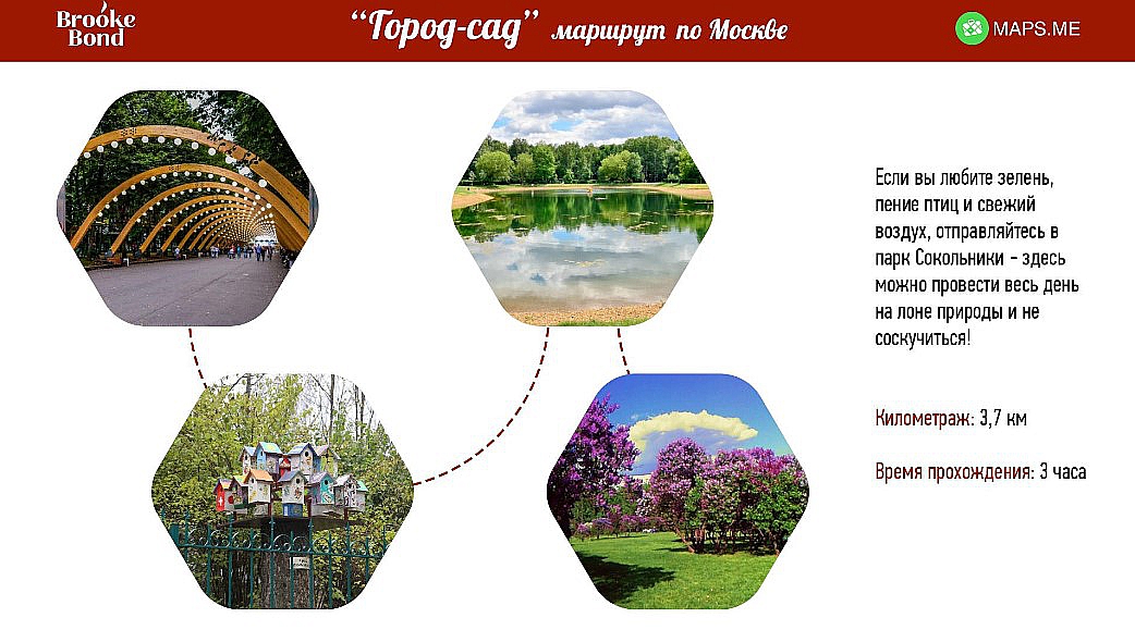 Brooke Bond и Maps.me разработали уникальные прогулочные маршруты
