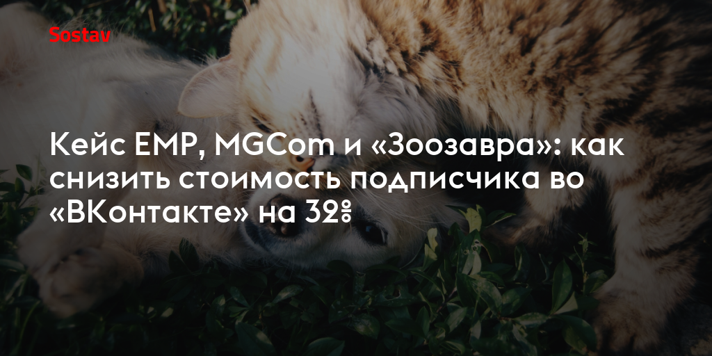 Кейс EMP, MGCom и «Зоозавра»: как снизить стоимость подписчика во «ВКонтакте» на 32%